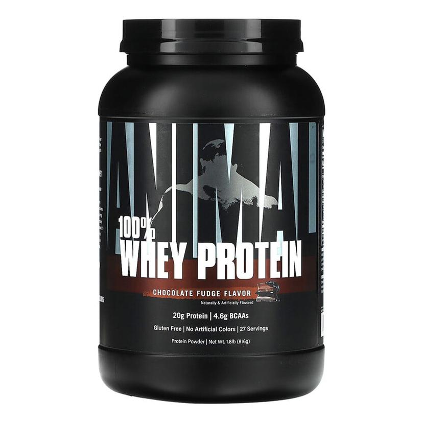 Best Tasting Whey Protein Powders & Shakes |Sporter Kuwait